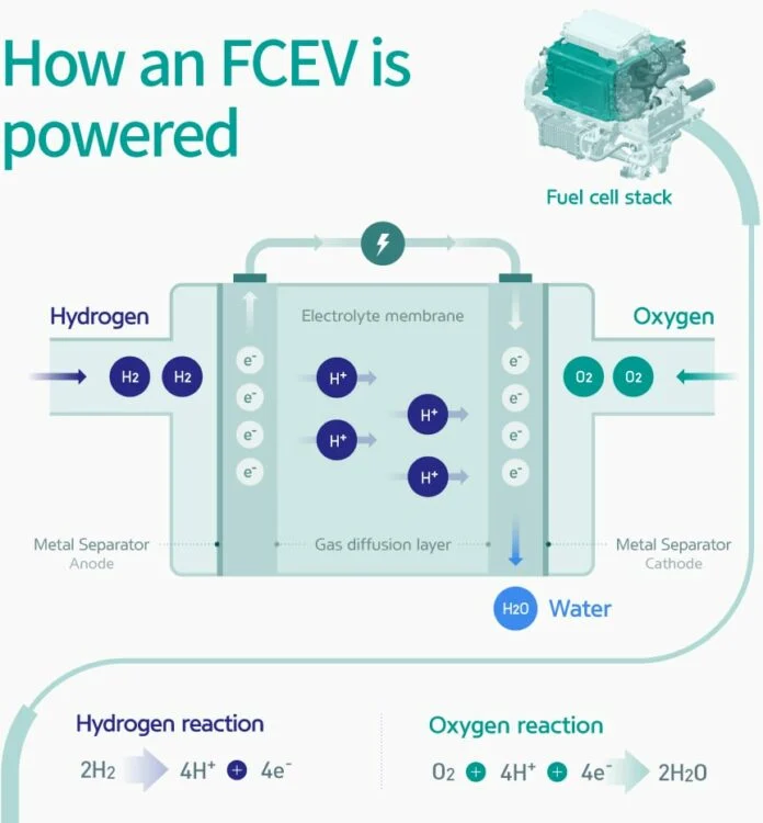 Hydrogen Cars: Pros, Cons, & Everything You Need to Know