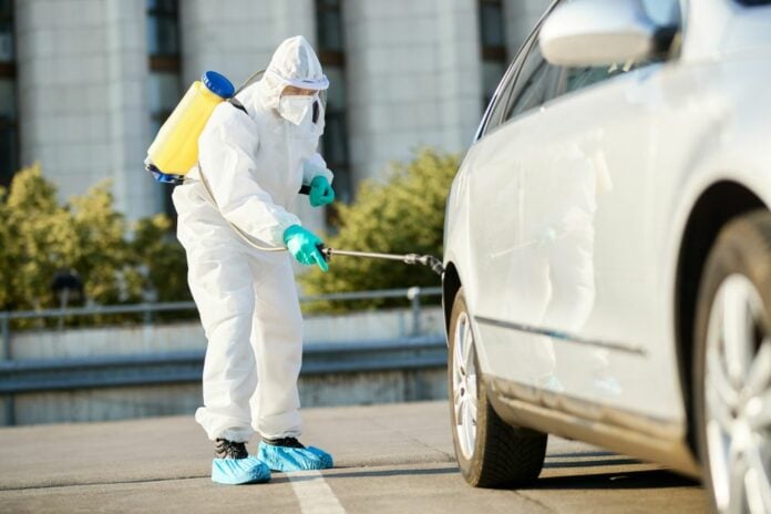 Car Pest Control Tips: How to Get Rid of Ants in Your Car