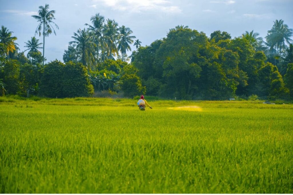 How To Apply For The New Diesel Subsidy Program, BUDI