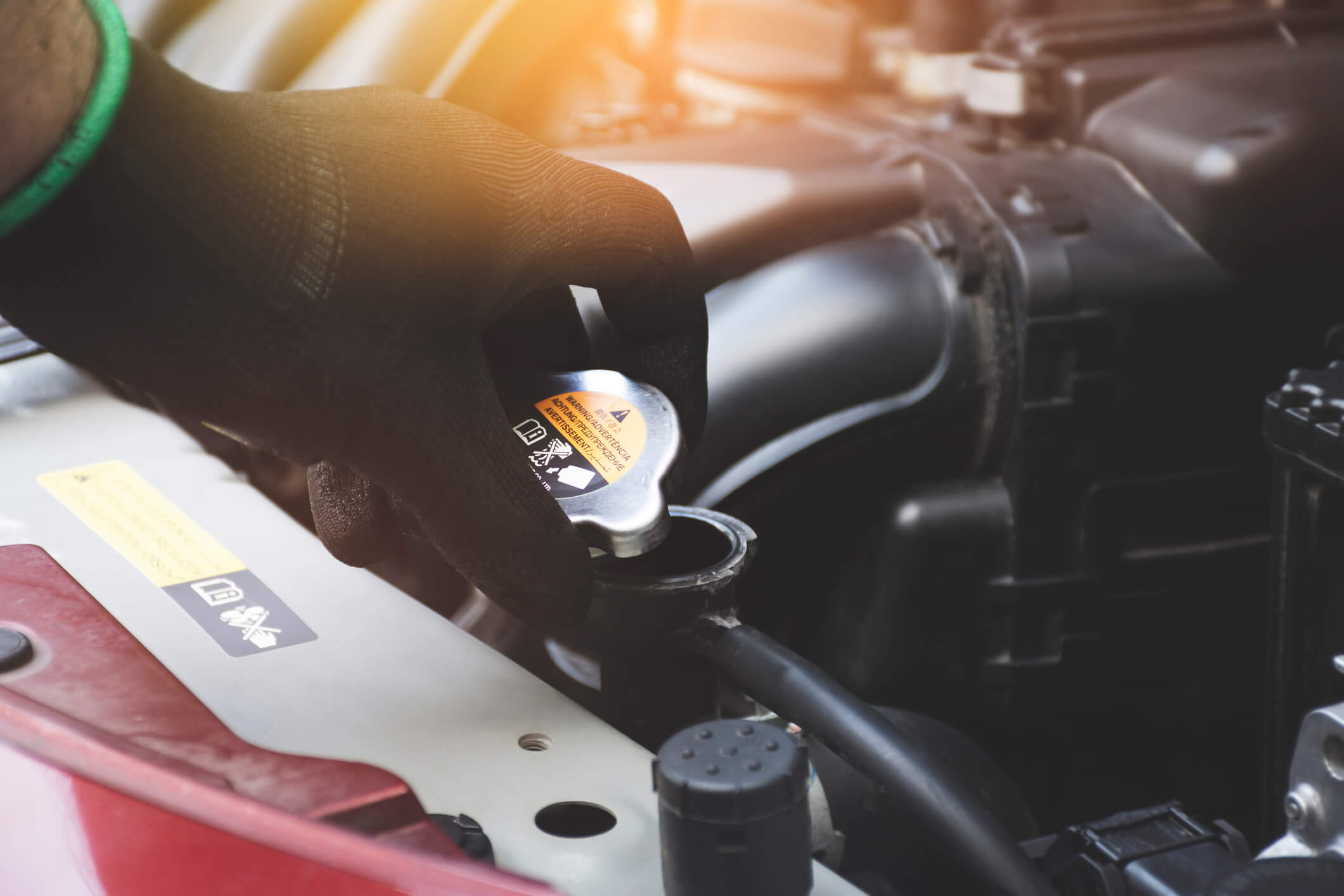 From Engine Oil to Coolant: Here’s How to Check the 6 Essential Car ...